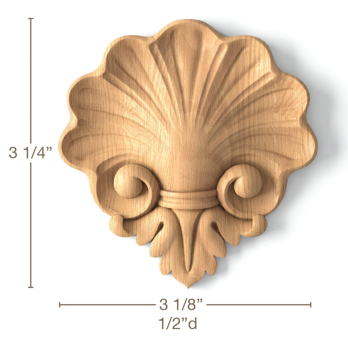 Shell with Scrolls, 3 1/8"w x 3 1/4"h x 1/2"d, SPECIAL ORDER ...